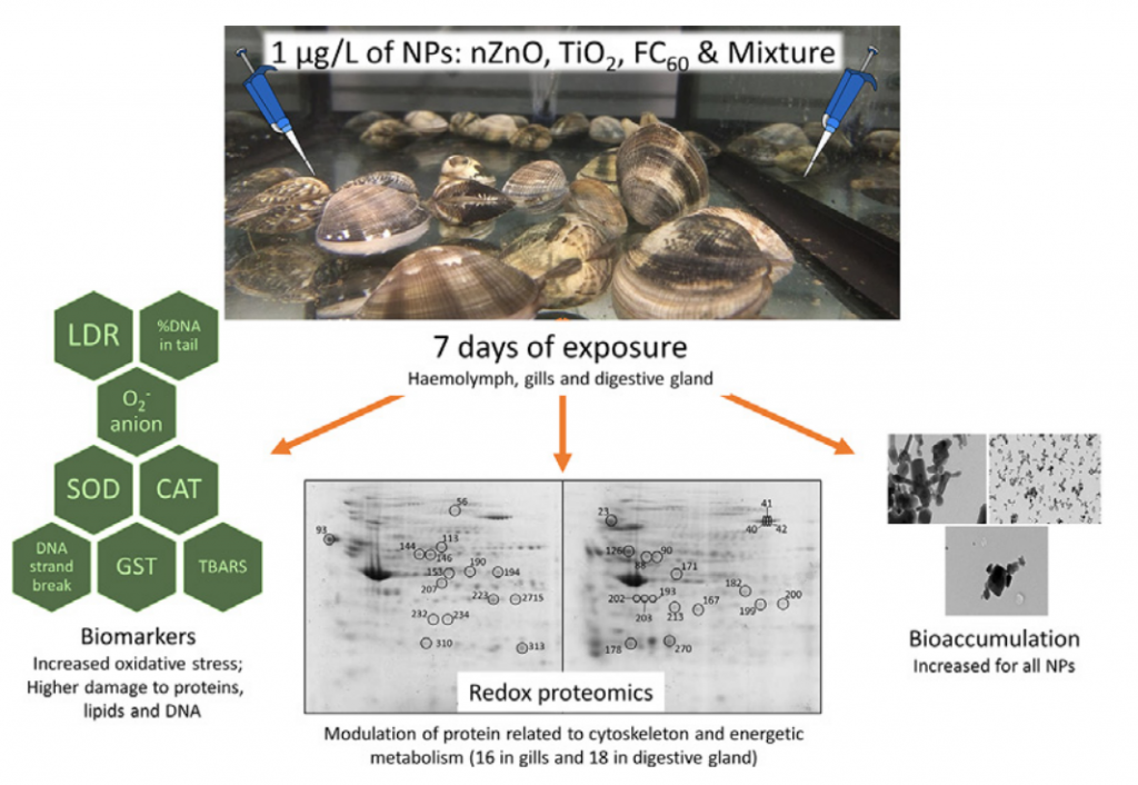 Nanoparticles in the Marine Environment - Khalifa University