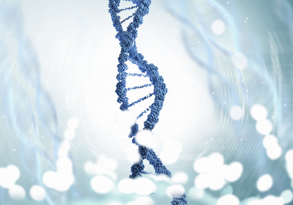 The Possible Genetic Links between Obesity and Cancer - Khalifa University