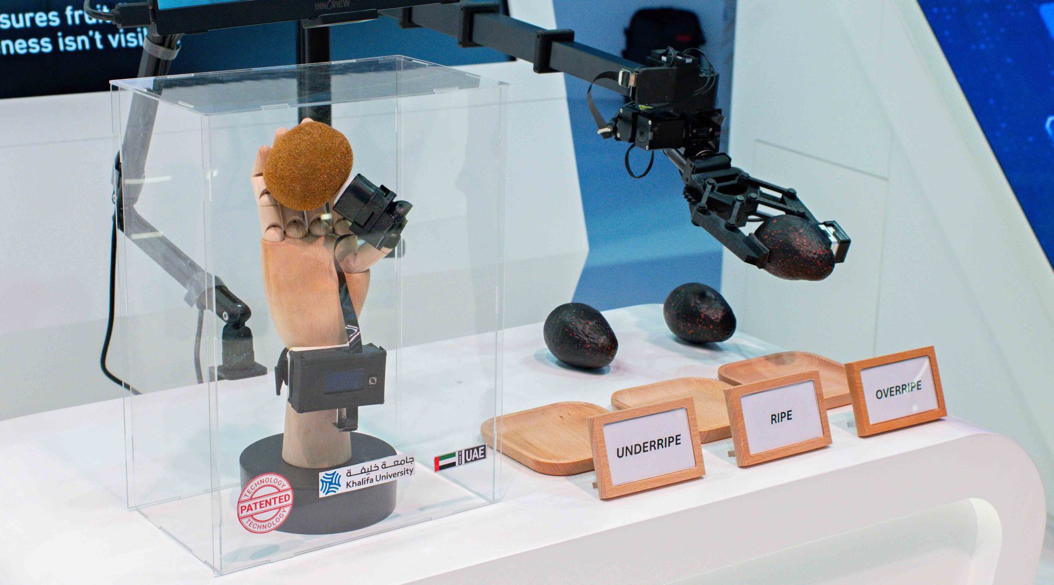 Khalifa University launches TouchRipe, UAE’s 1st fruit ripeness device ...